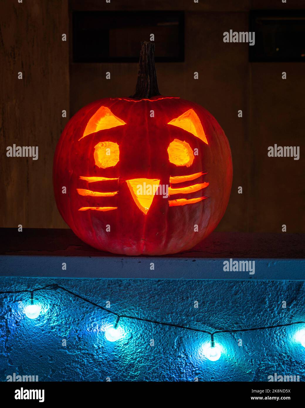 A Jack-o'-lantern with face of a cat glows with candle light at night ...
