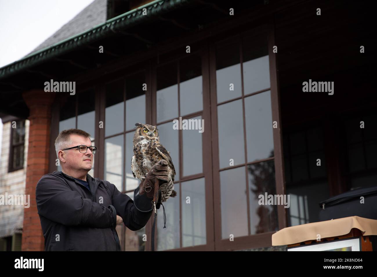 Wingmasters: The World of Owls demonstration Stock Photo - Alamy