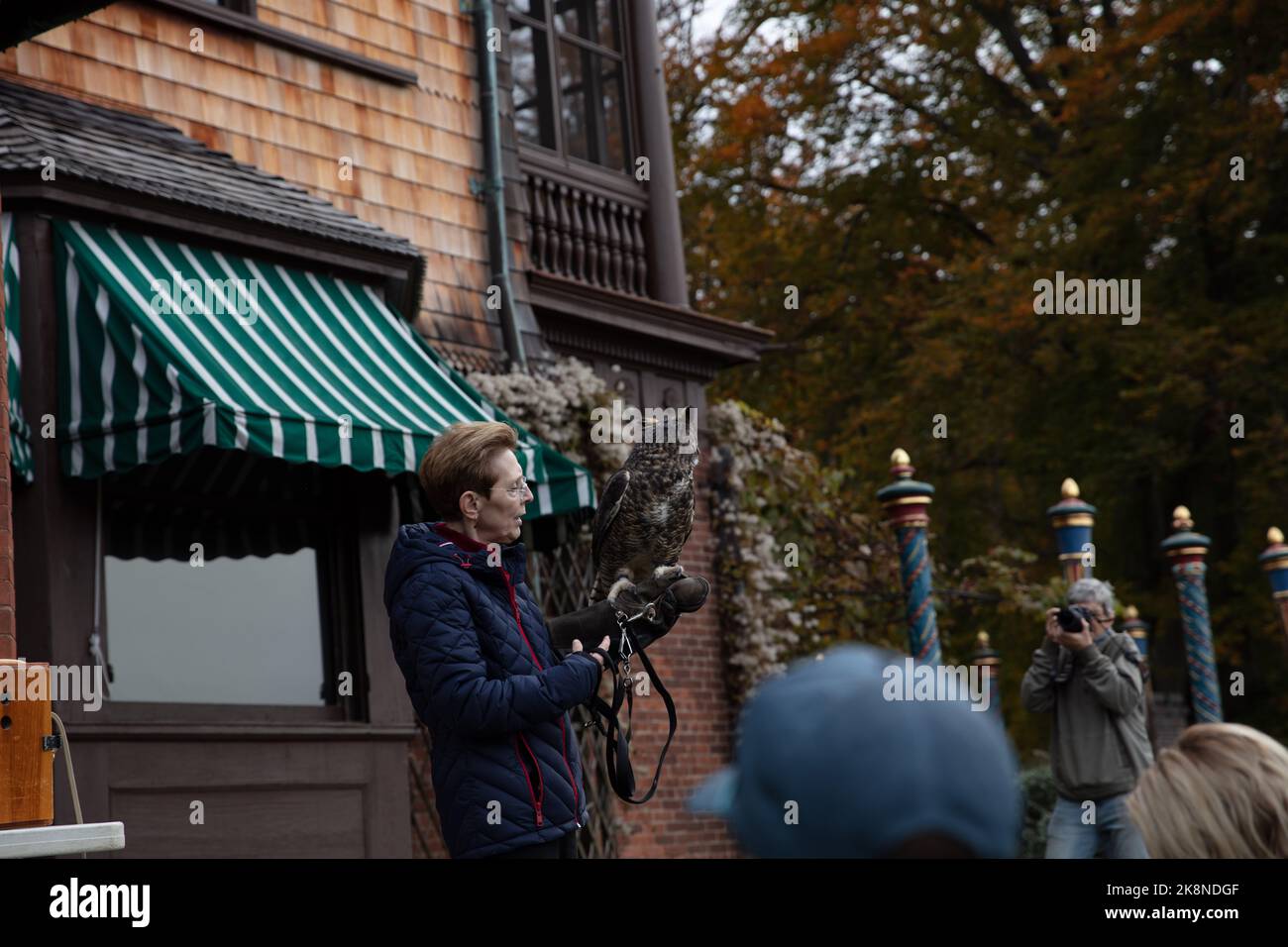 Wingmasters: The World of Owls demonstration Stock Photo - Alamy