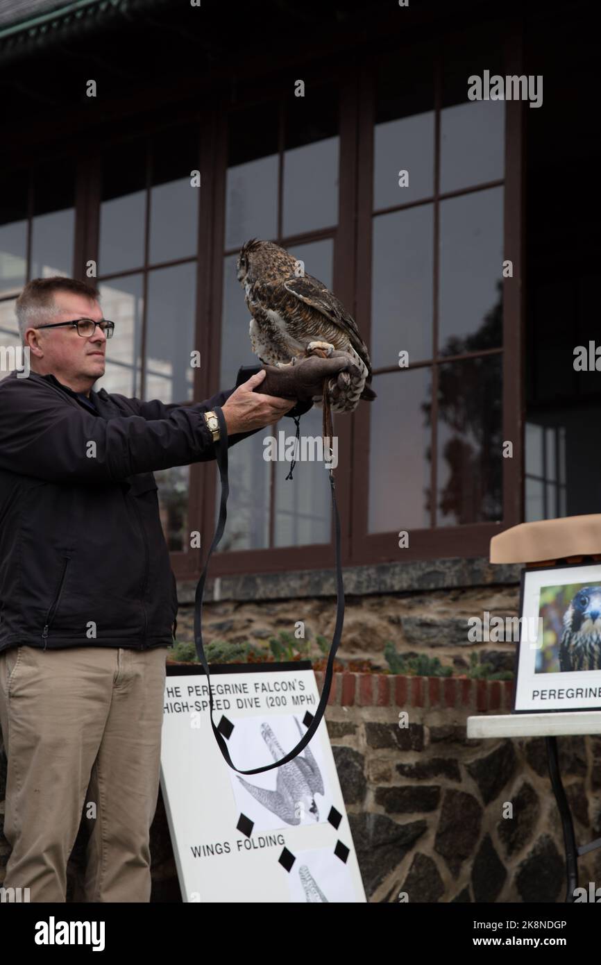 Demonstration for the protection of animals hi-res stock photography ...