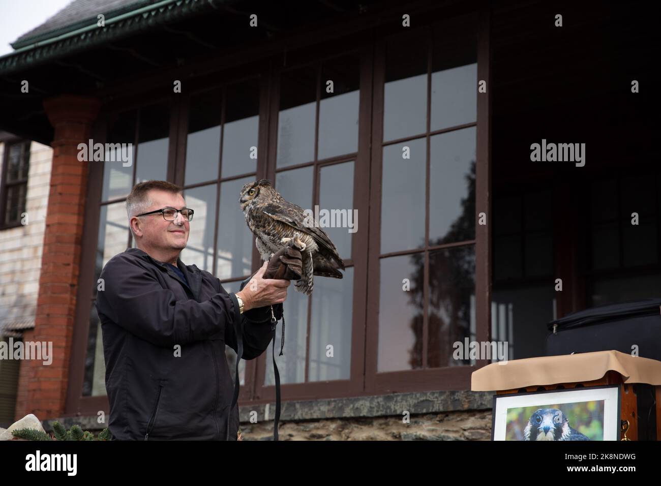 Wingmasters: The World of Owls demonstration Stock Photo - Alamy