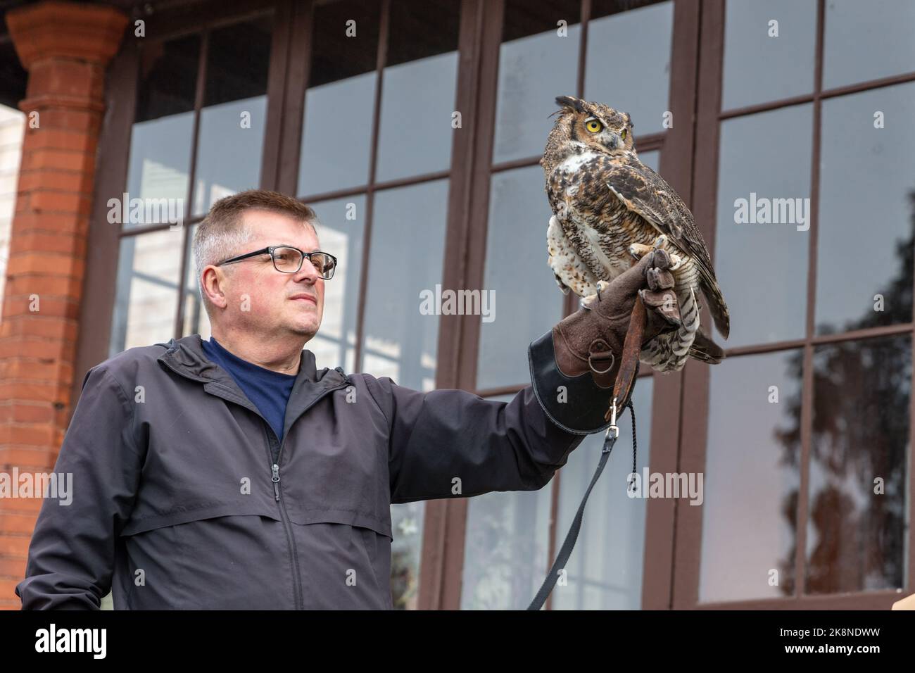 Wingmasters: The World of Owls demonstration Stock Photo - Alamy
