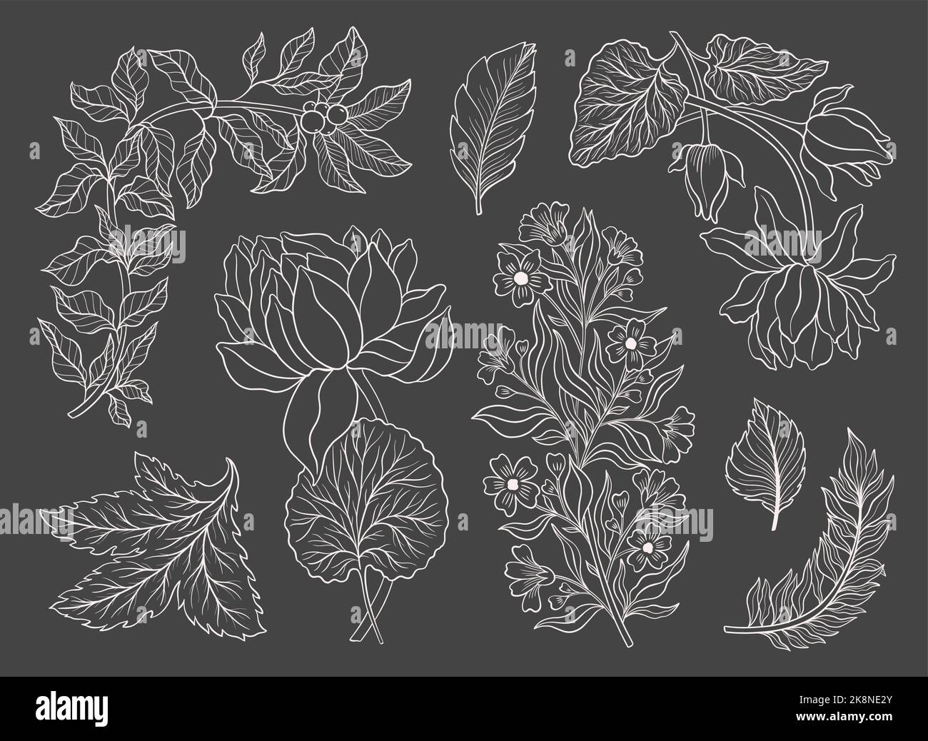 Collection vintage floral motif. William Moriss style art and craft ...