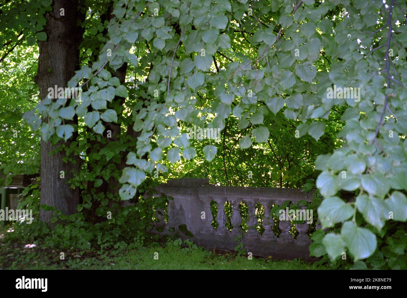 Oslo June 1988 Langgaardsløkken is an old loop garden at Briskeby in ...