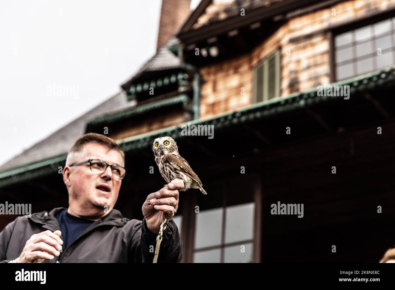 Wingmasters: The World of Owls demonstration Stock Photo - Alamy