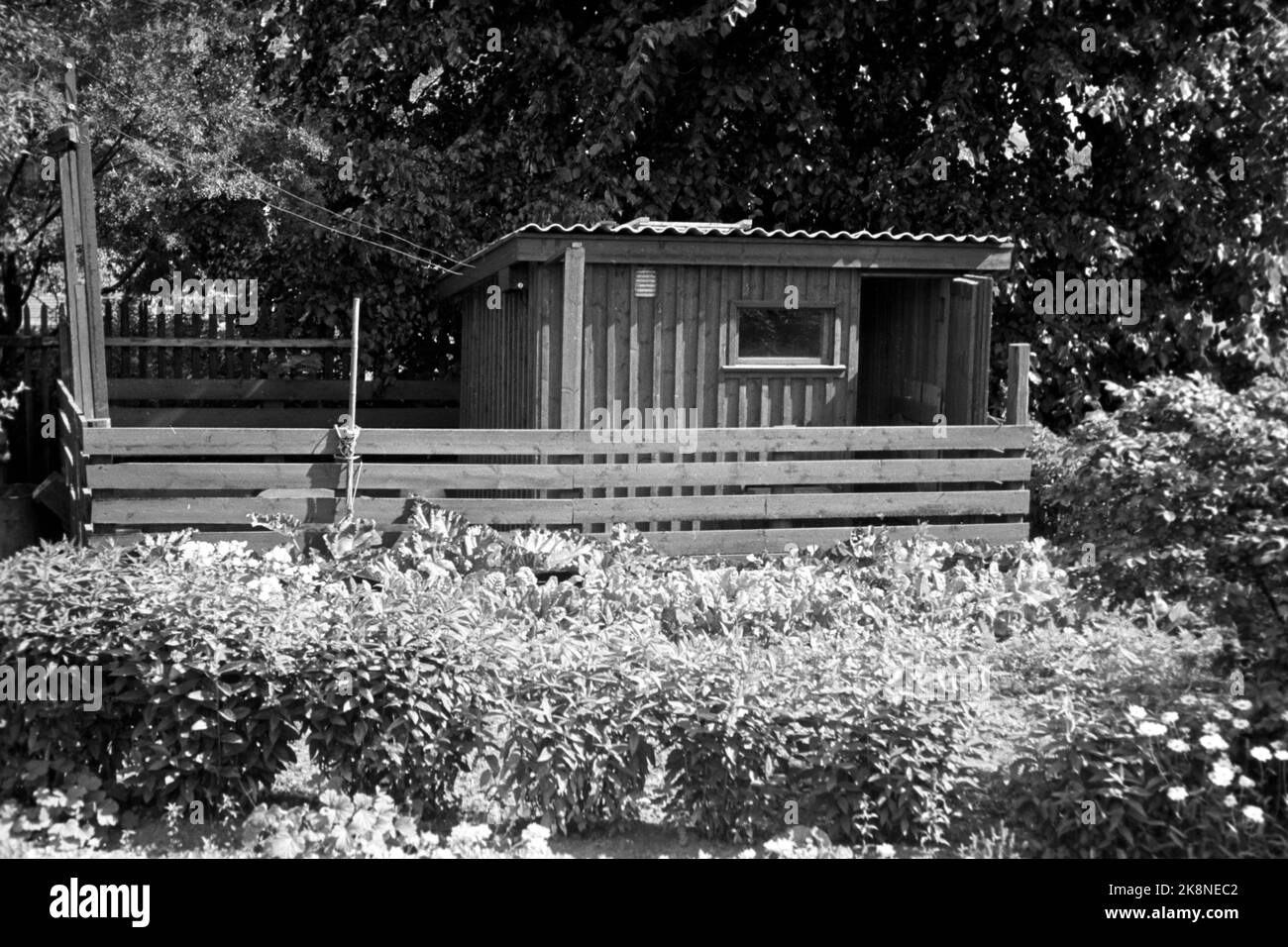 Ww2 oslo 19440704 villagris at disposent lund hi-res stock photography ...