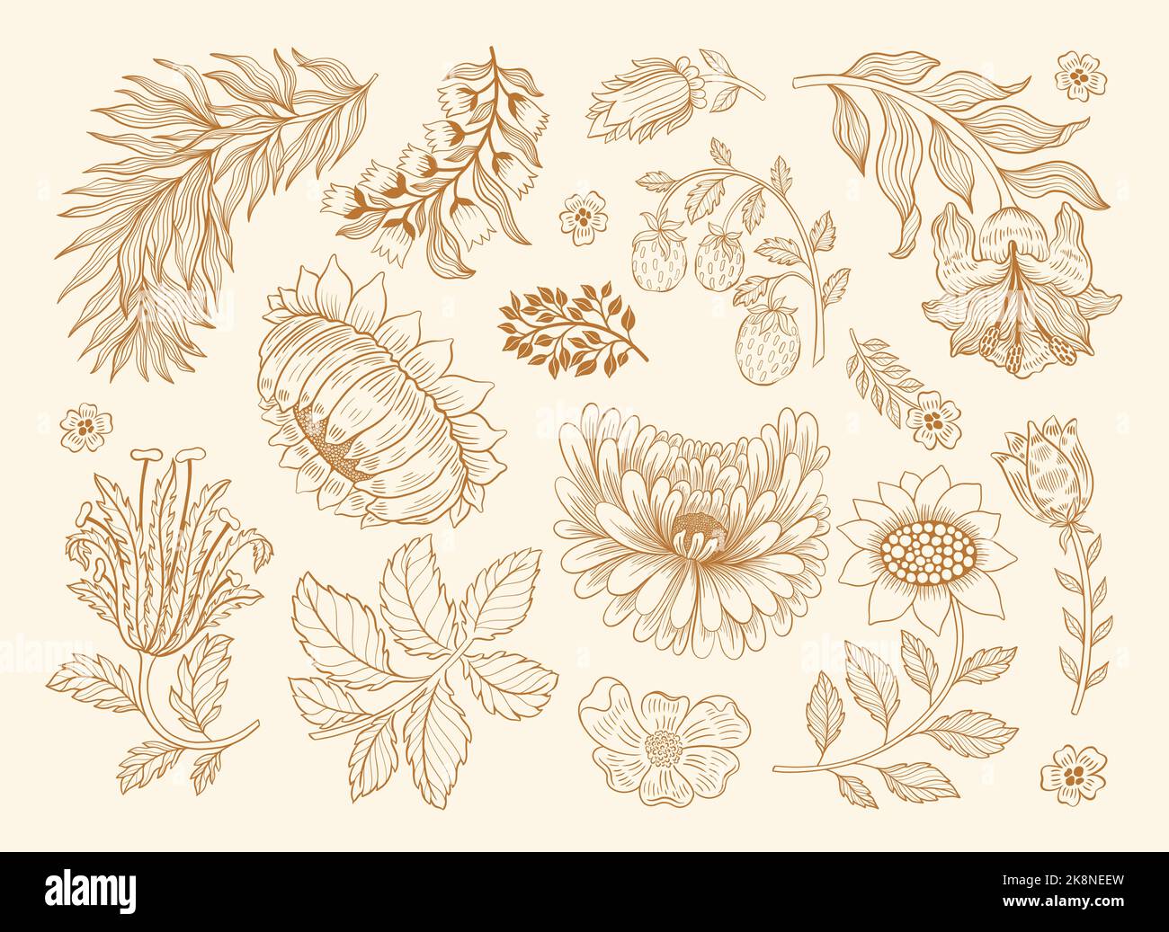 Curly floral wallpaper designs Stock Vector Images - Alamy