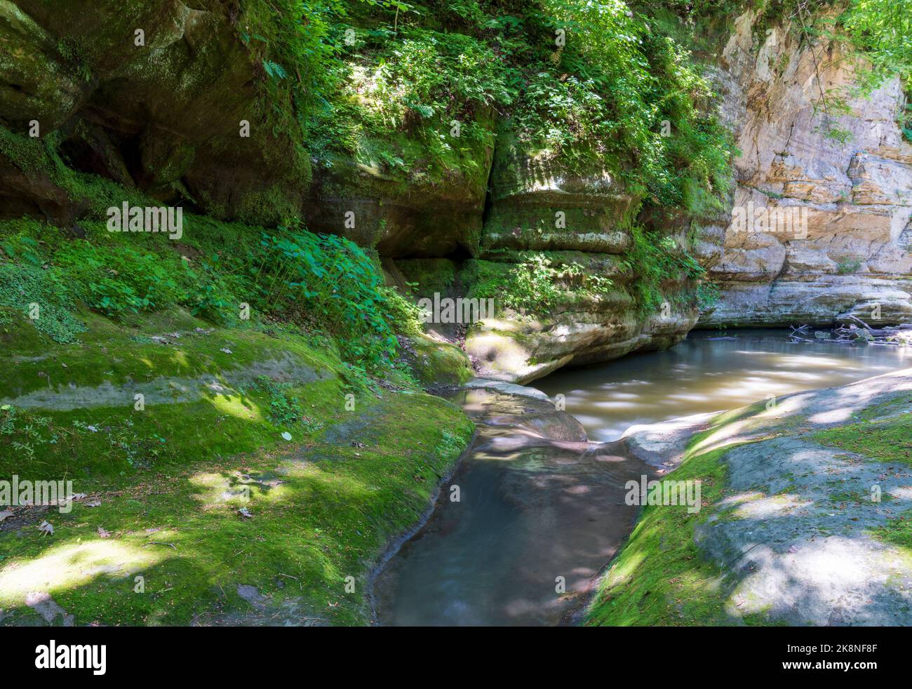 The beautiful nature of the Starved Rock state park in Illinois with ...