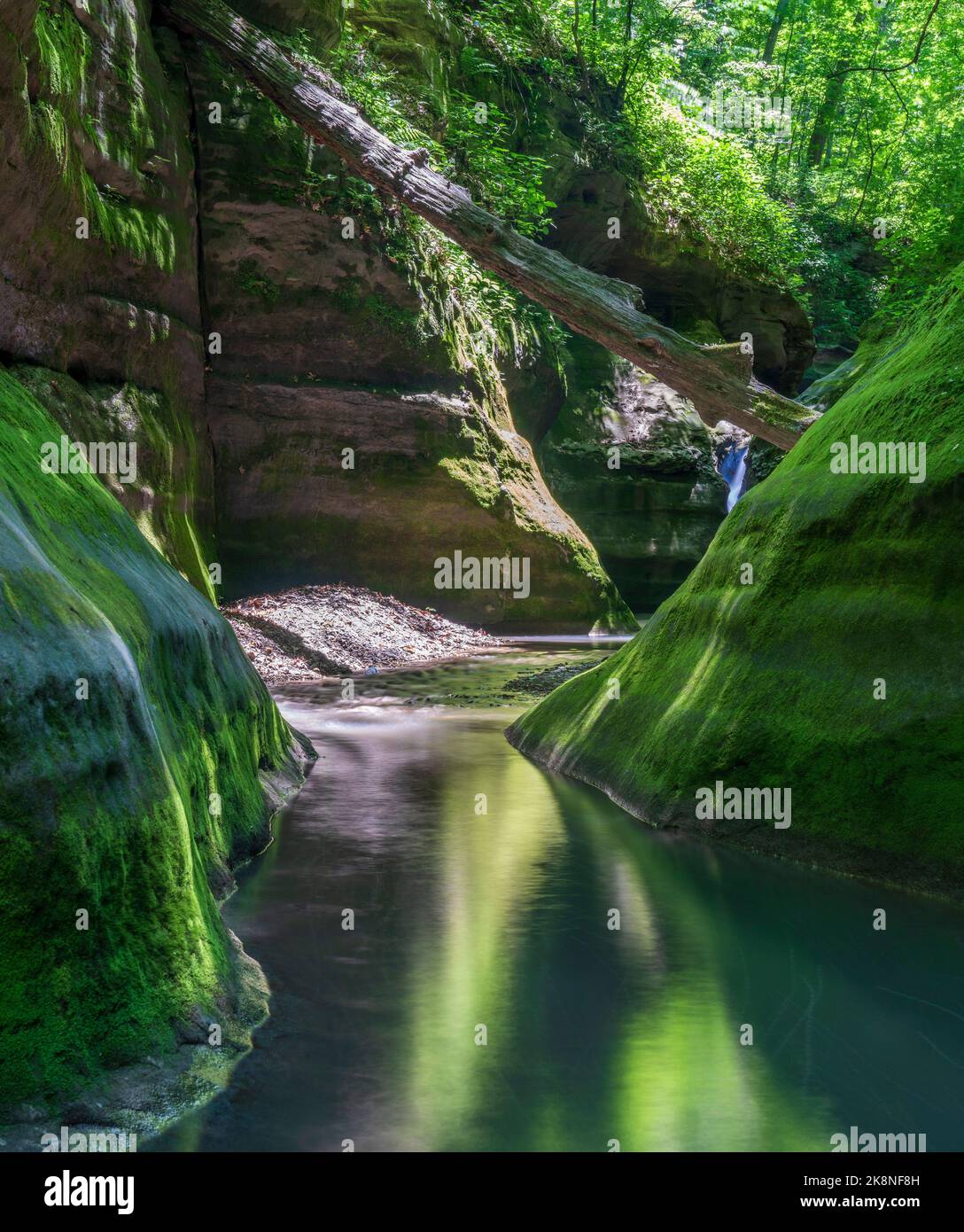 A long exposure of the beautiful nature of Starved Rock state park in ...