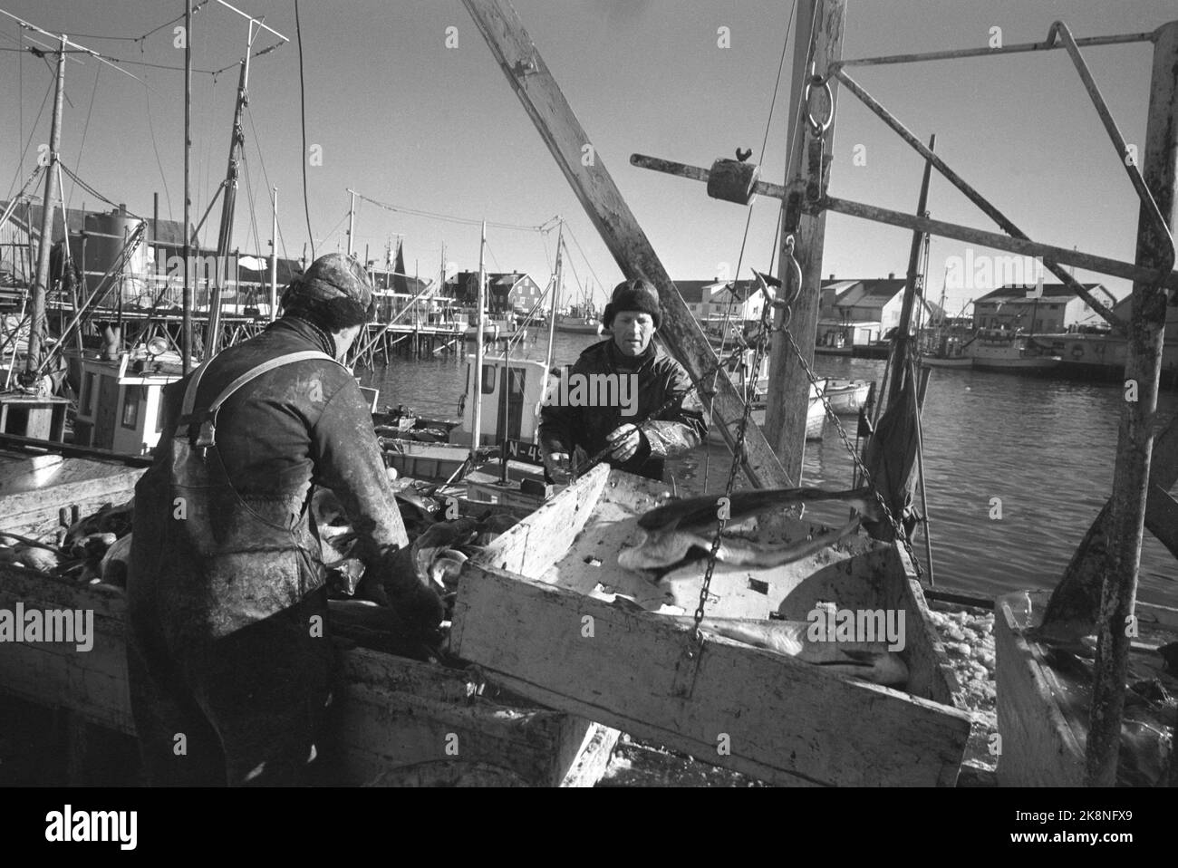Lofoten, Henningsvær April 10, 1971. After a number of bad years on the ...