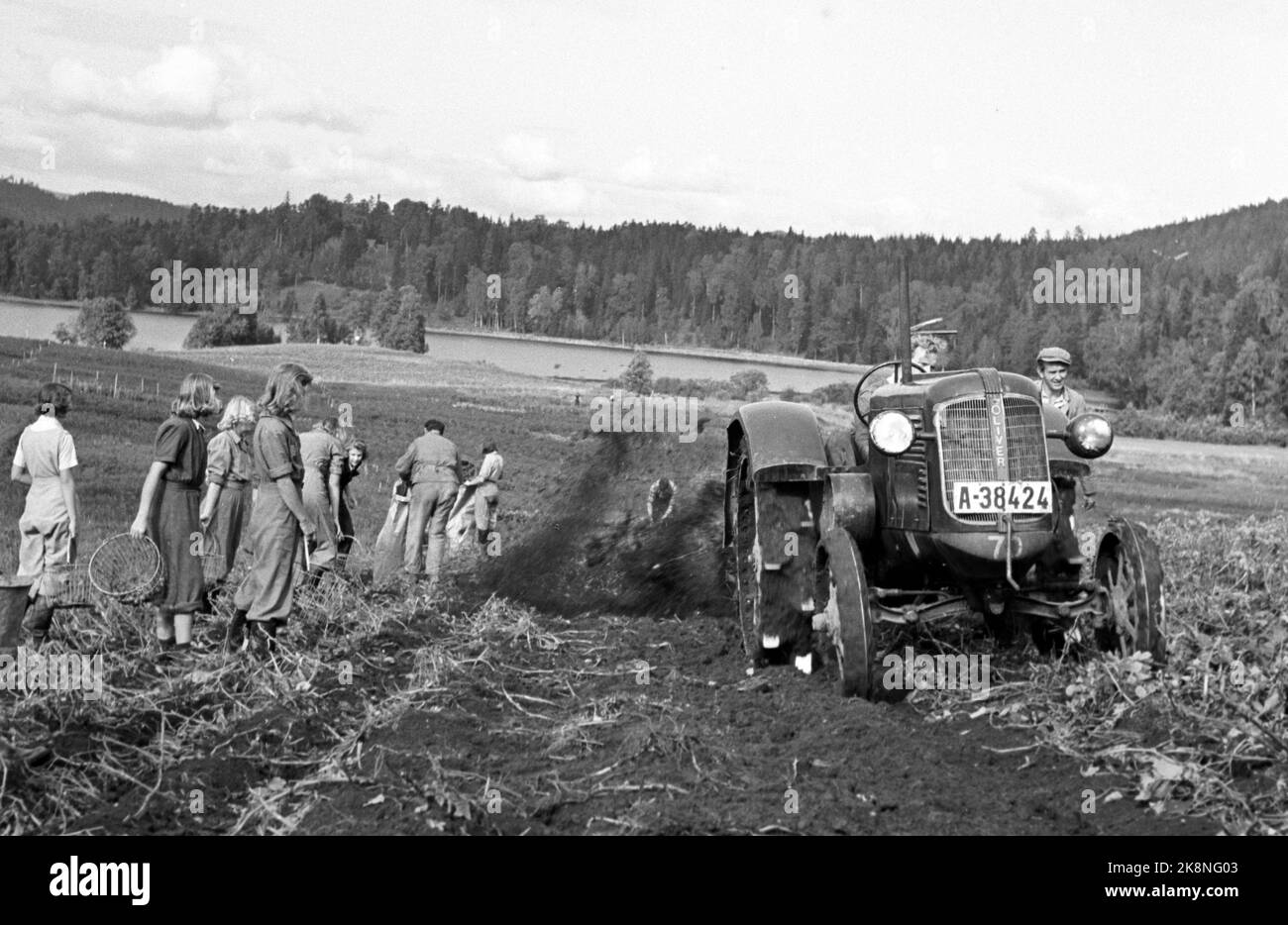 Ntb photo image processed war potatoes agriculture women vegetables ...