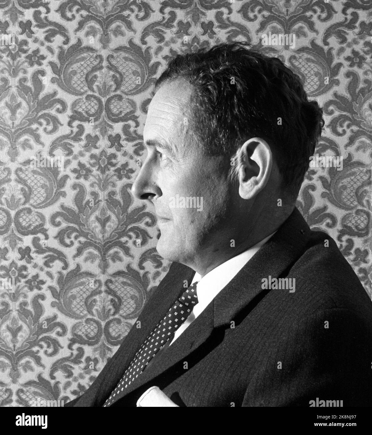 Current ntb alone profile portrait hi-res stock photography and images ...