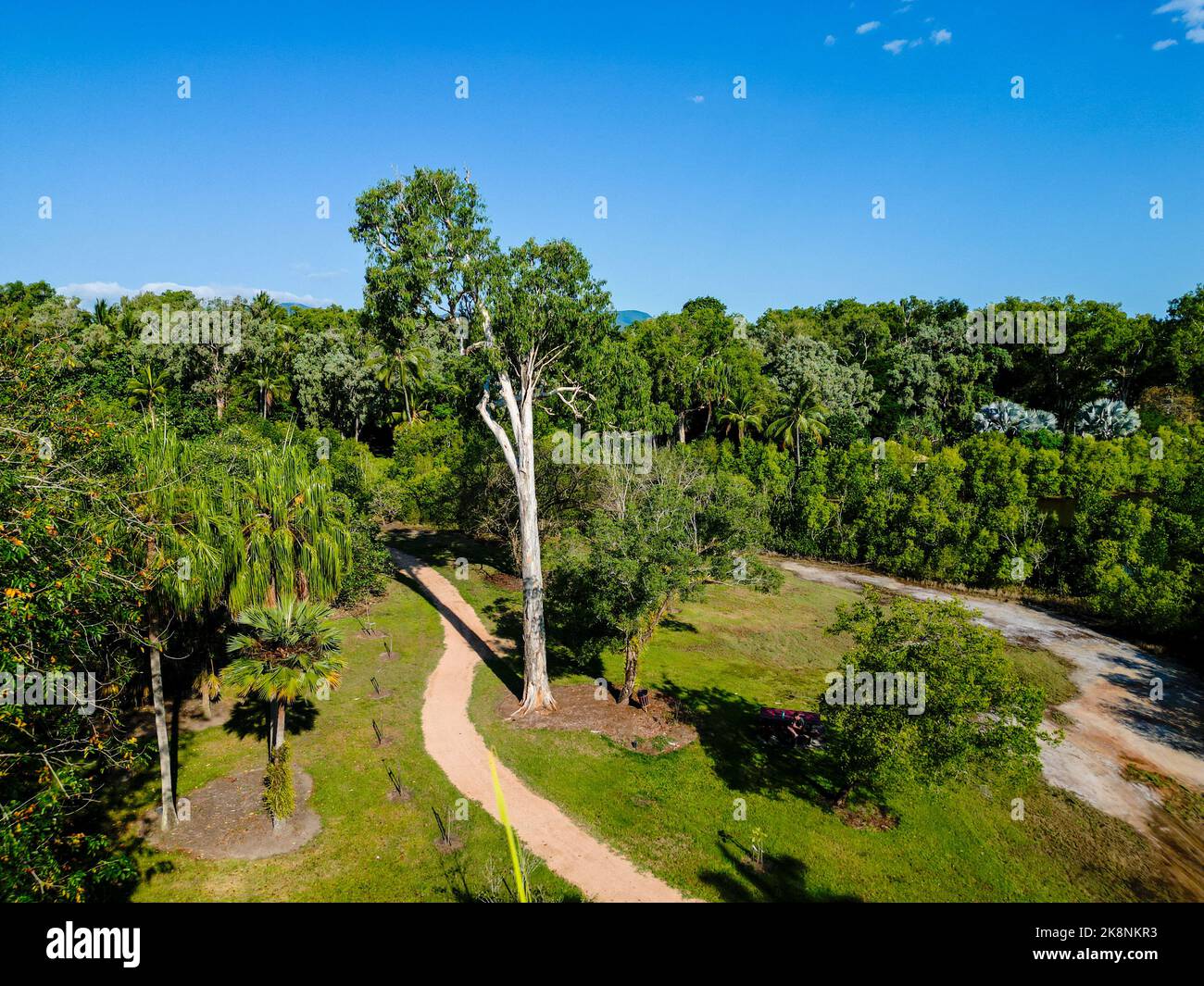 Aerial view of tress and tropical path in Cairns Botanical Garden Stock ...