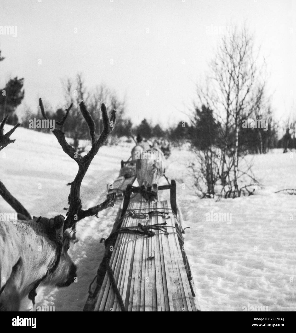 Kautokeino 1948 The Sami fetches houses. Recovery of small same ...