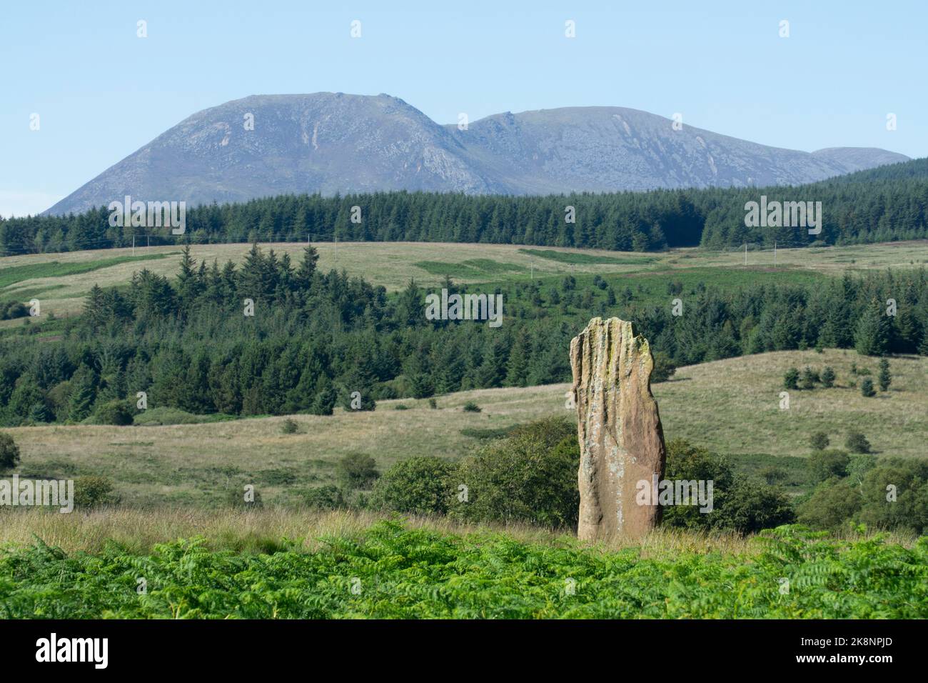 Standing stone isolated in field with mountain in background arran ...