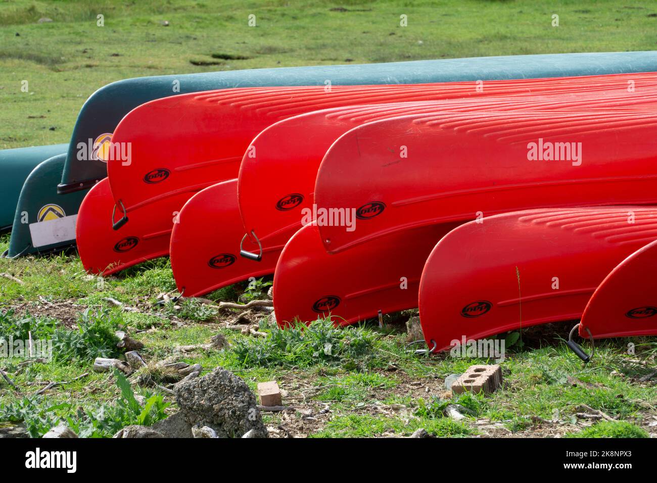 prow bow of red green canoe kayak neatly stacked inverted laid on grass ...