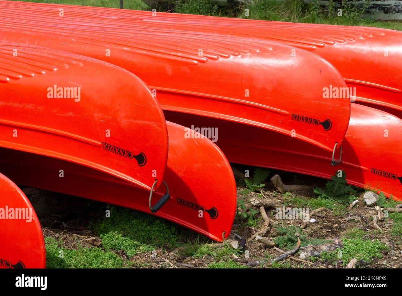 prow bow of red green canoe kayak neatly stacked inverted laid on grass ...