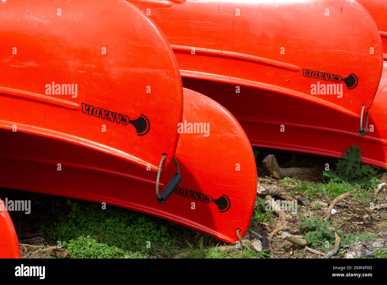 prow bow of red green canoe kayak neatly stacked inverted laid on grass ...