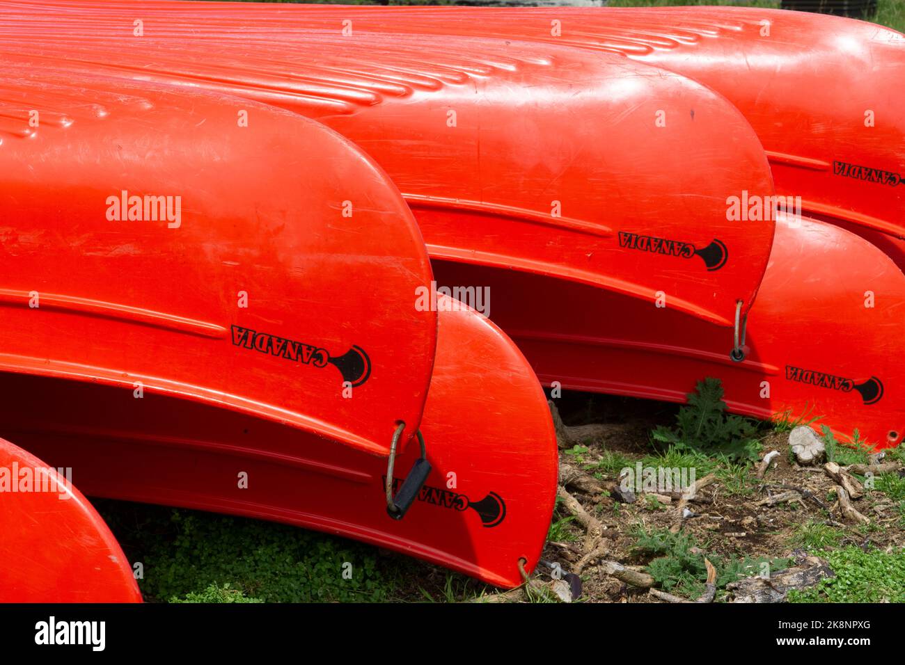 prow bow of red green canoe kayak neatly stacked inverted laid on grass ...