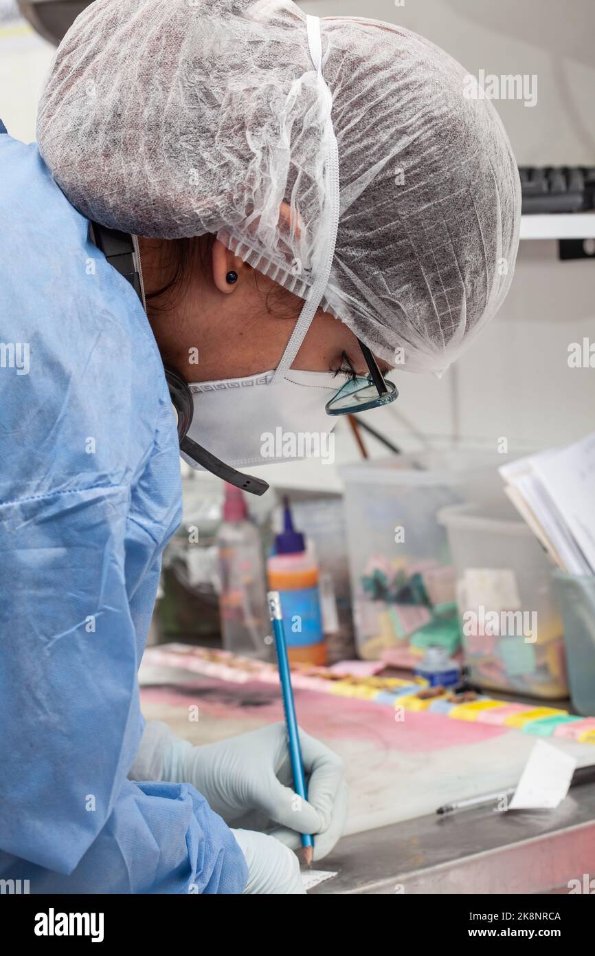 Scientist processing biopsy samples at the pathology laboratory to be ...