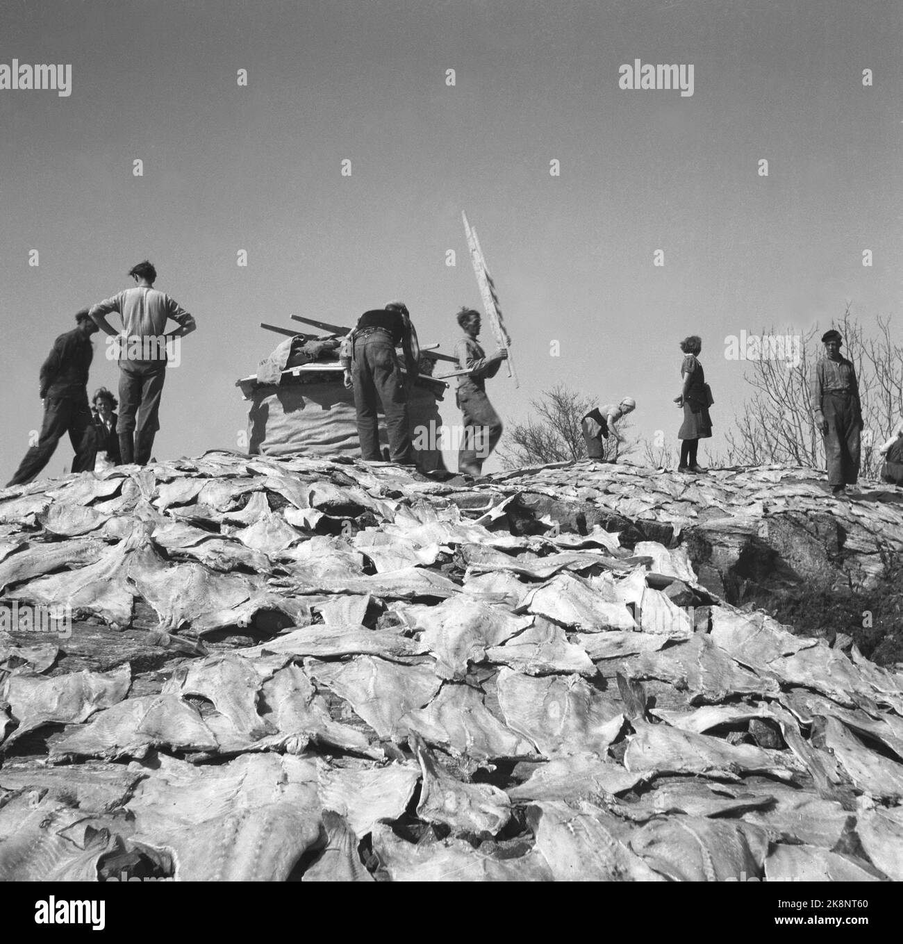 The christian rounds rejoice in the development hi-res stock ...