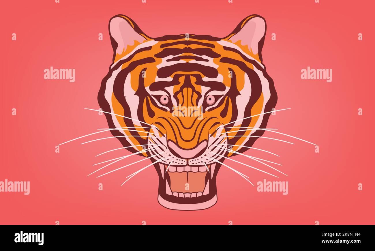 A vector illustration of a roaring tiger on a red background Stock ...
