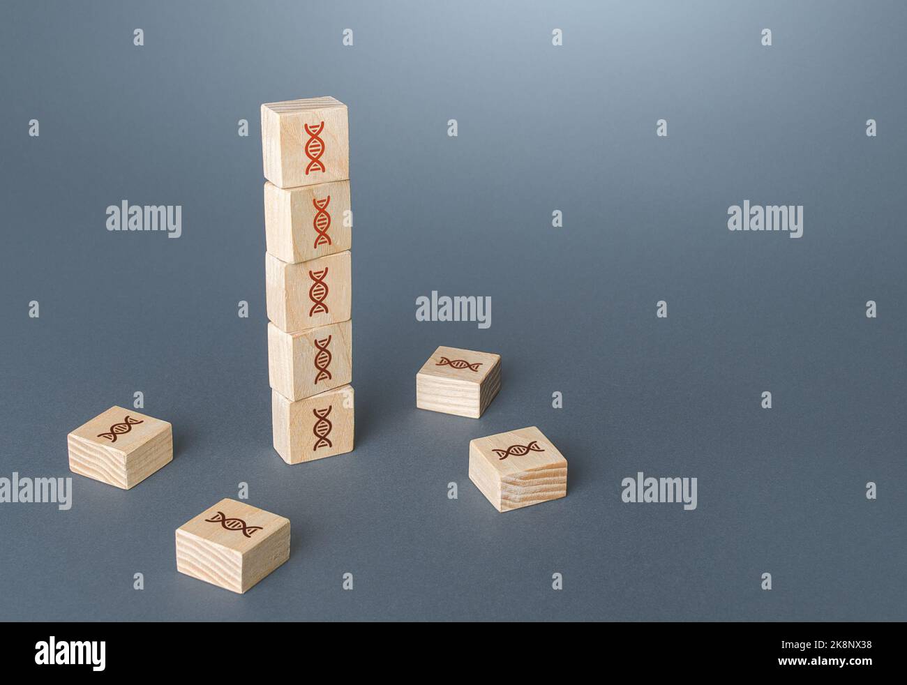 The construction of the genome chain from DNA blocks. Mutations and ...