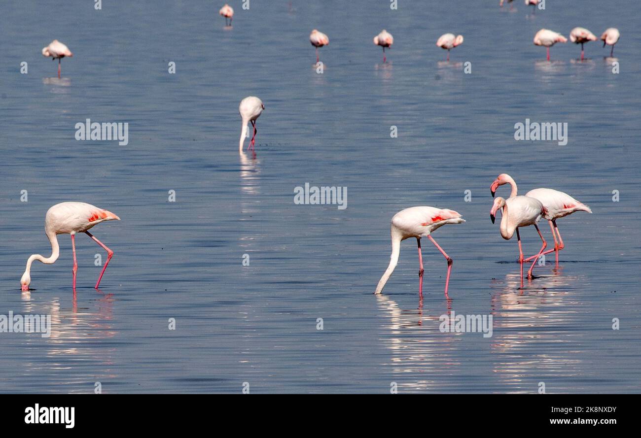 24 oct 2022 hi-res stock photography and images - Alamy