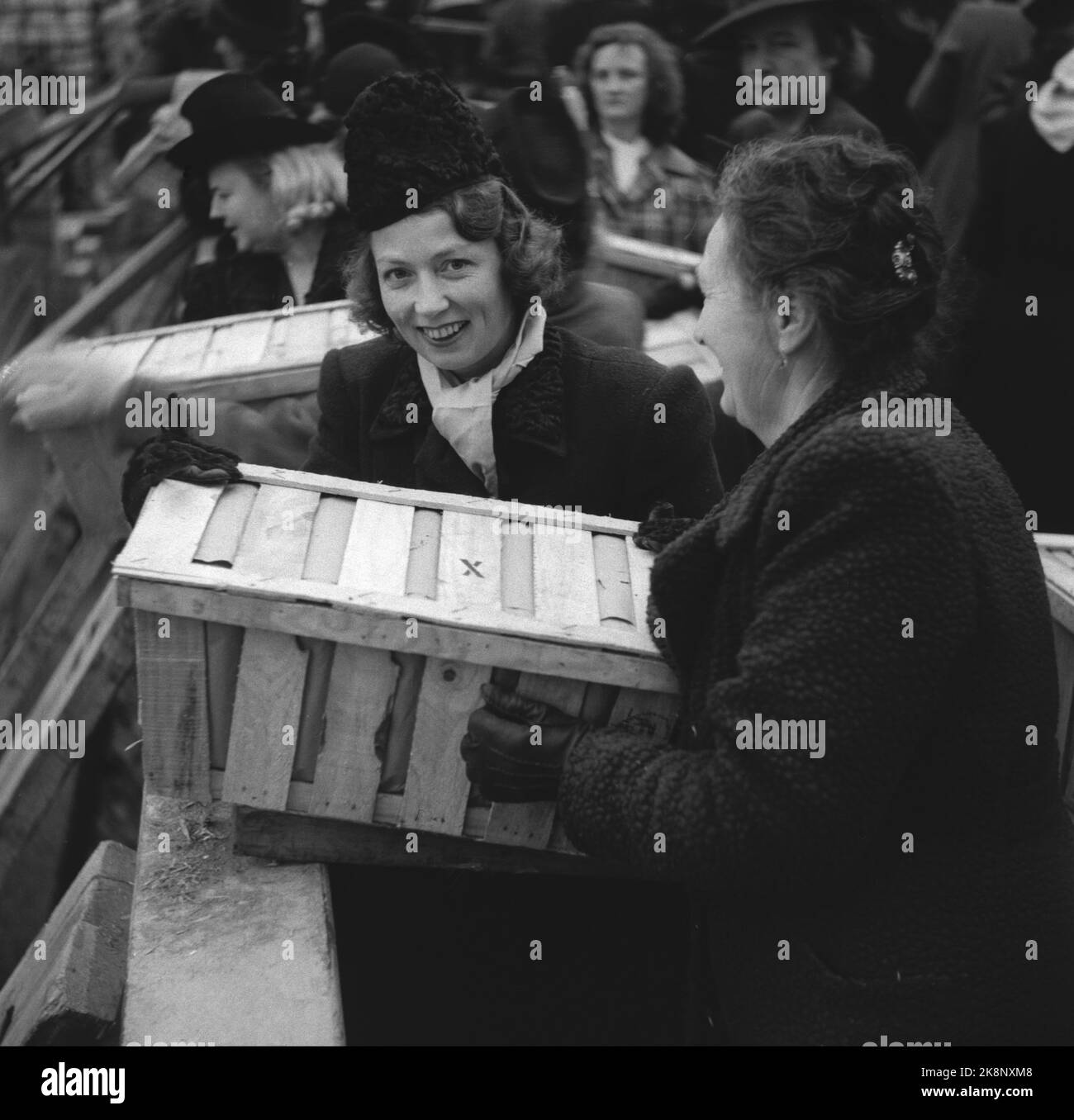 19460321 hi-res stock photography and images - Alamy