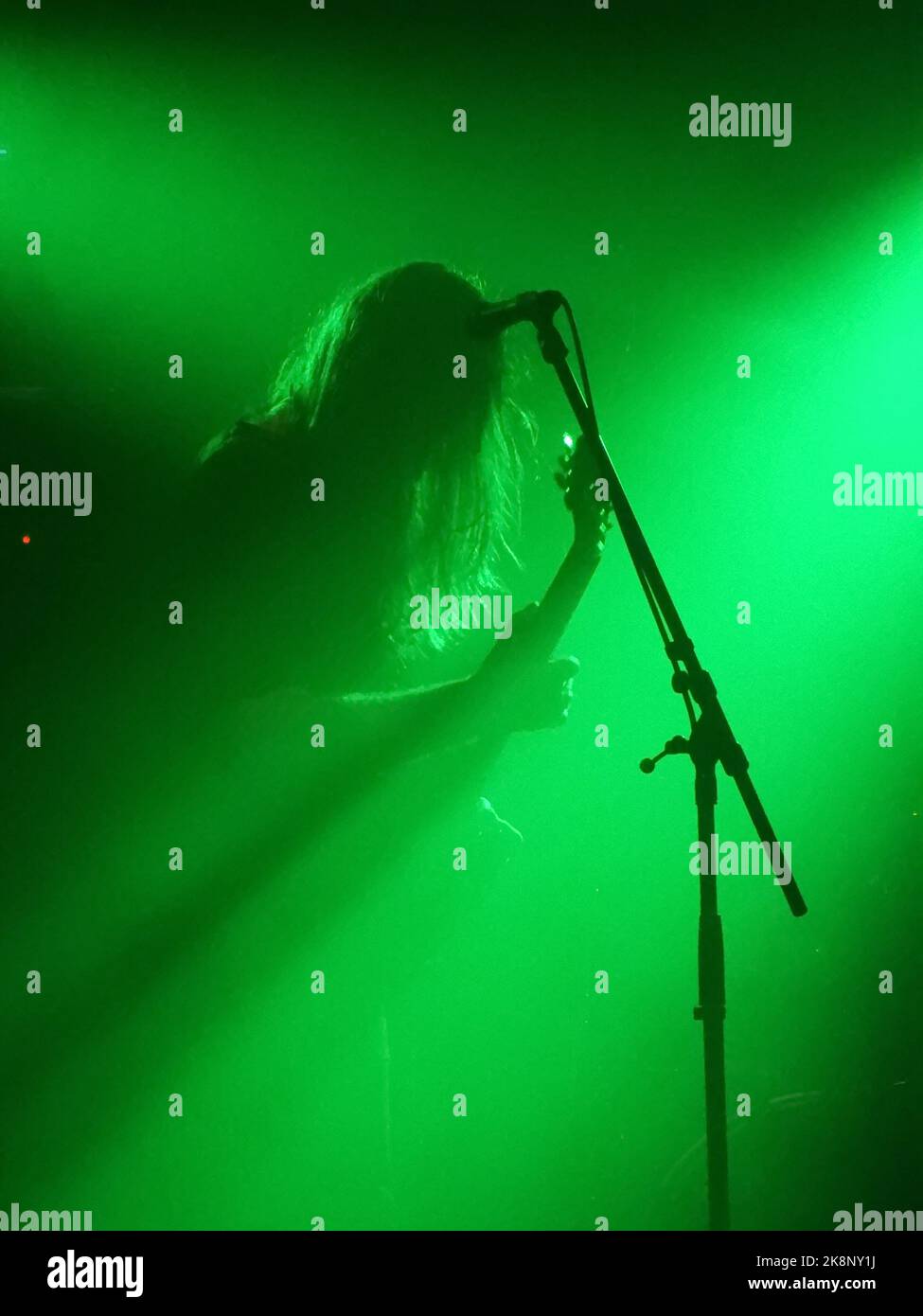 A silhouette of a guitarist in the green fog during the concert Stock ...