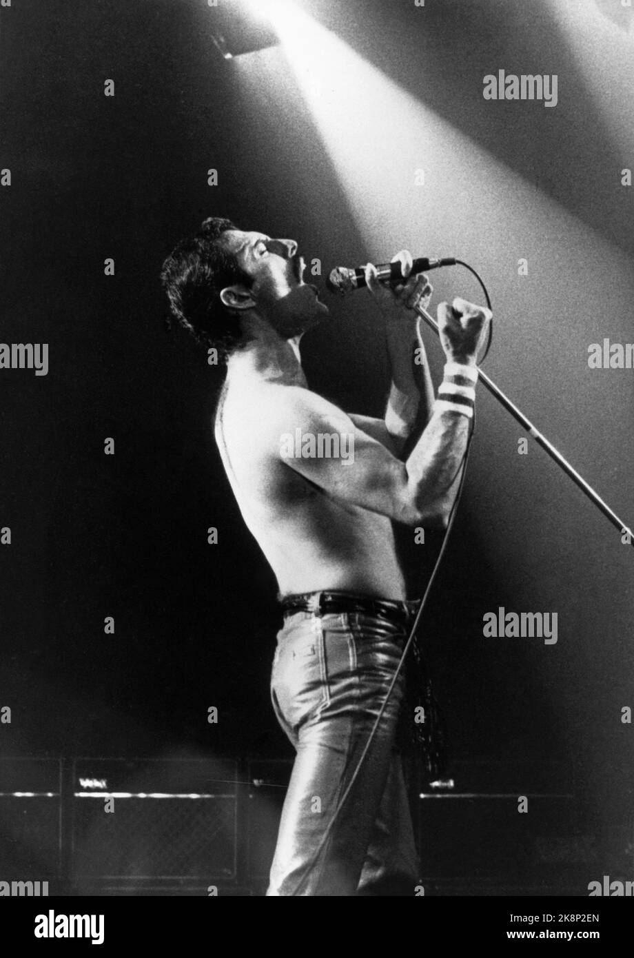 Oslo 19820412. Freddie Mercury, front figure in the music group Queen ...