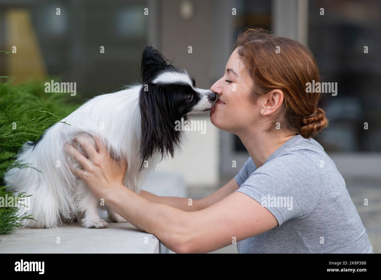 Caucasian red-haired woman kissing pappilion dog outdoors. Black and ...