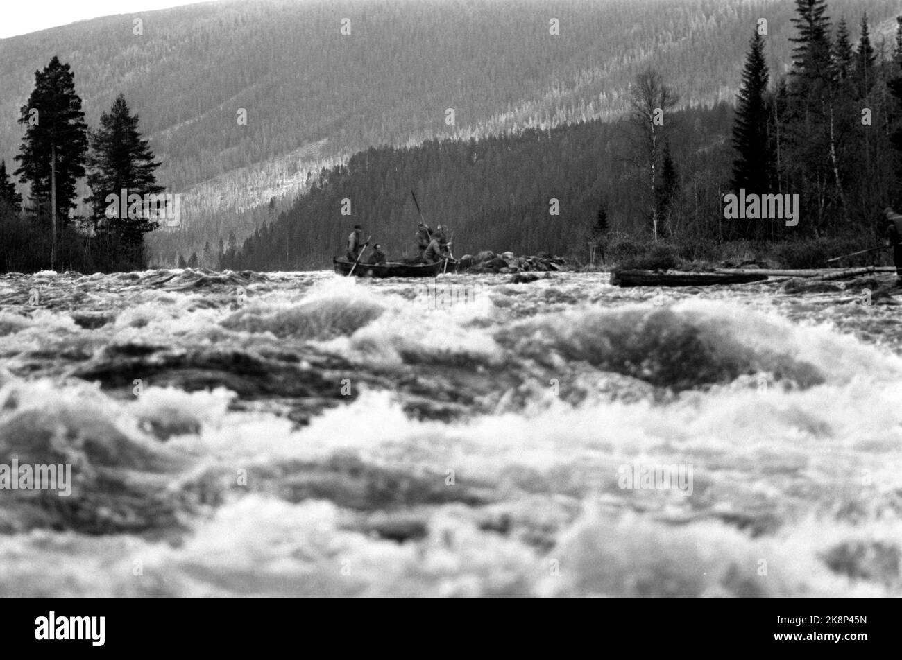 Trysilelva klara photo hi-res stock photography and images - Alamy