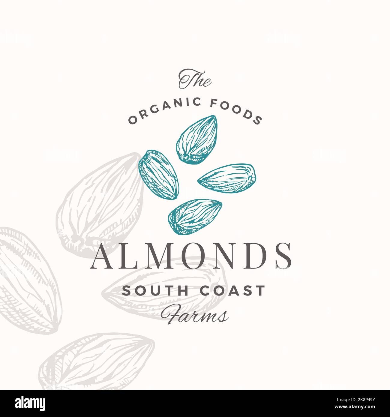 Almond Logo Template. Hand Drawn Nuts Sketch with Retro Typography ...
