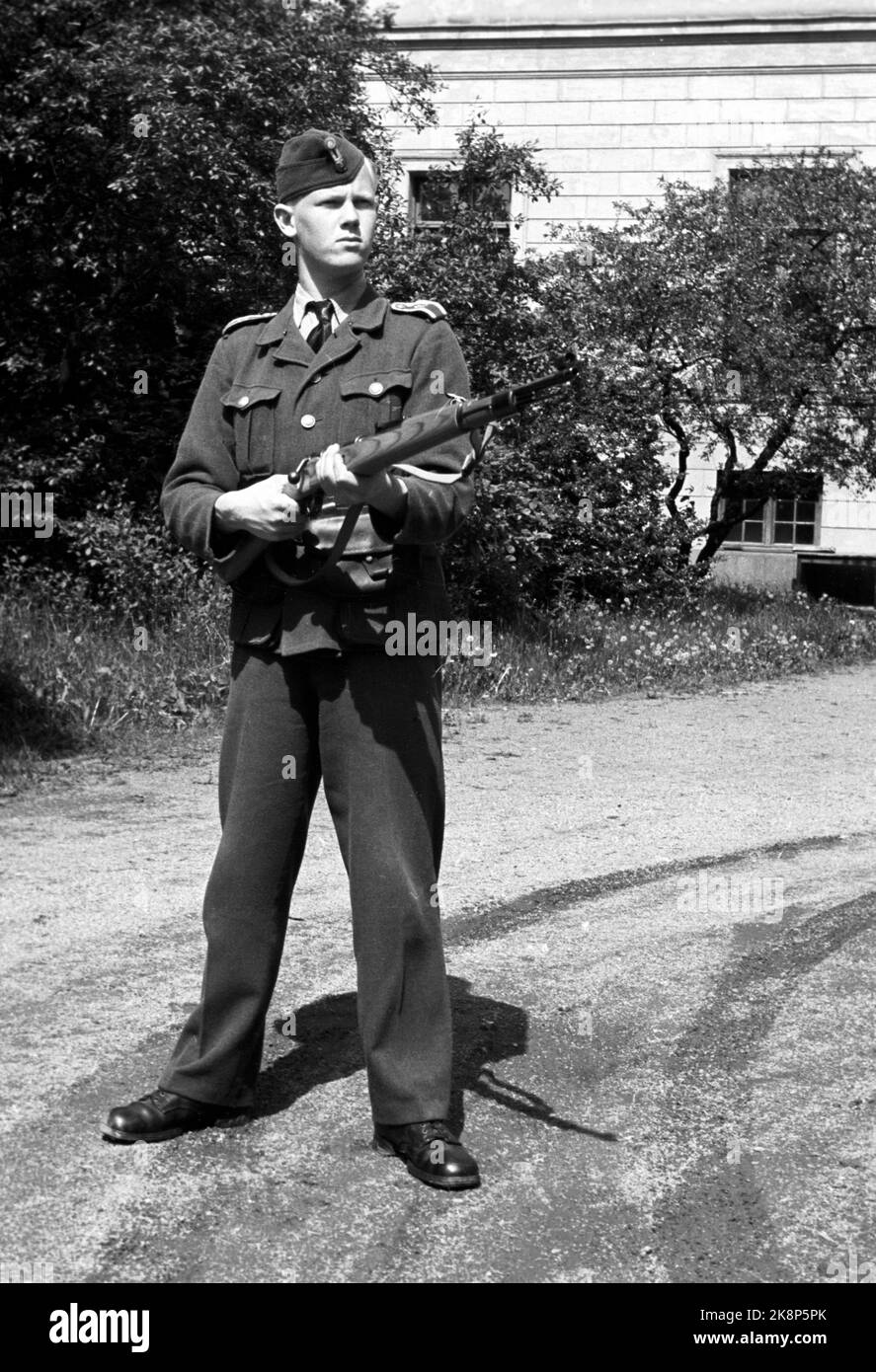 WW2 Oslo 19440616 Driver's yard with rifle. Photo: NTB *** Photo not ...