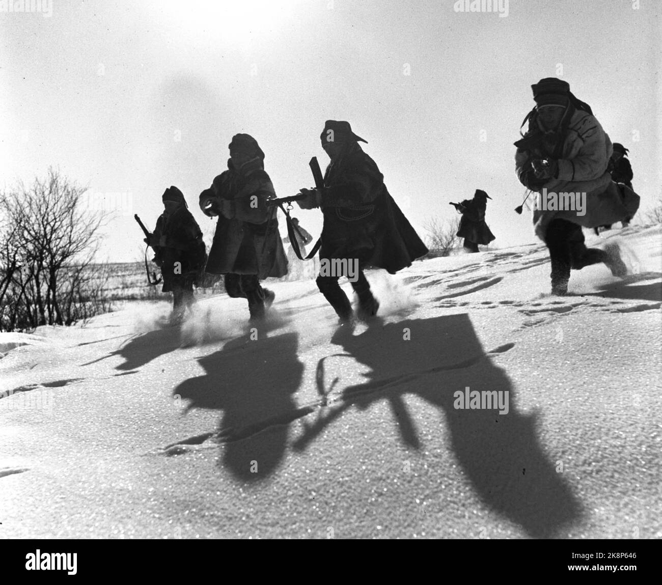 Finnmark 1952. Sami home defense soldiers on reindeer patrol exercise ...