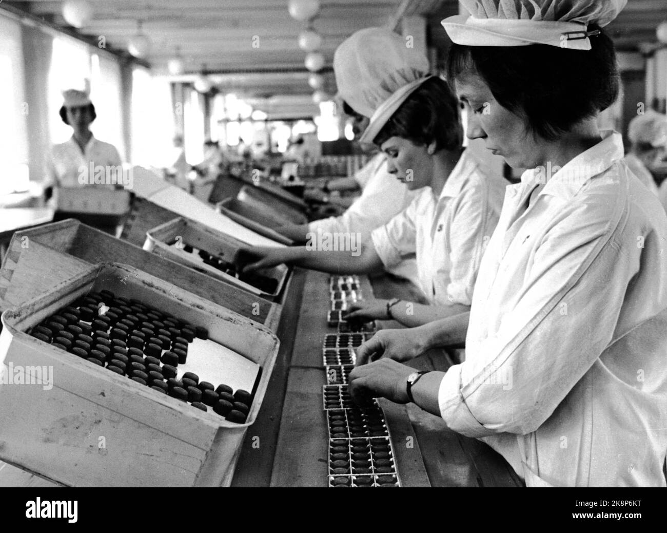 Oslo 1965 Working life at Freia Chocolate Factory. Women by assembly ...