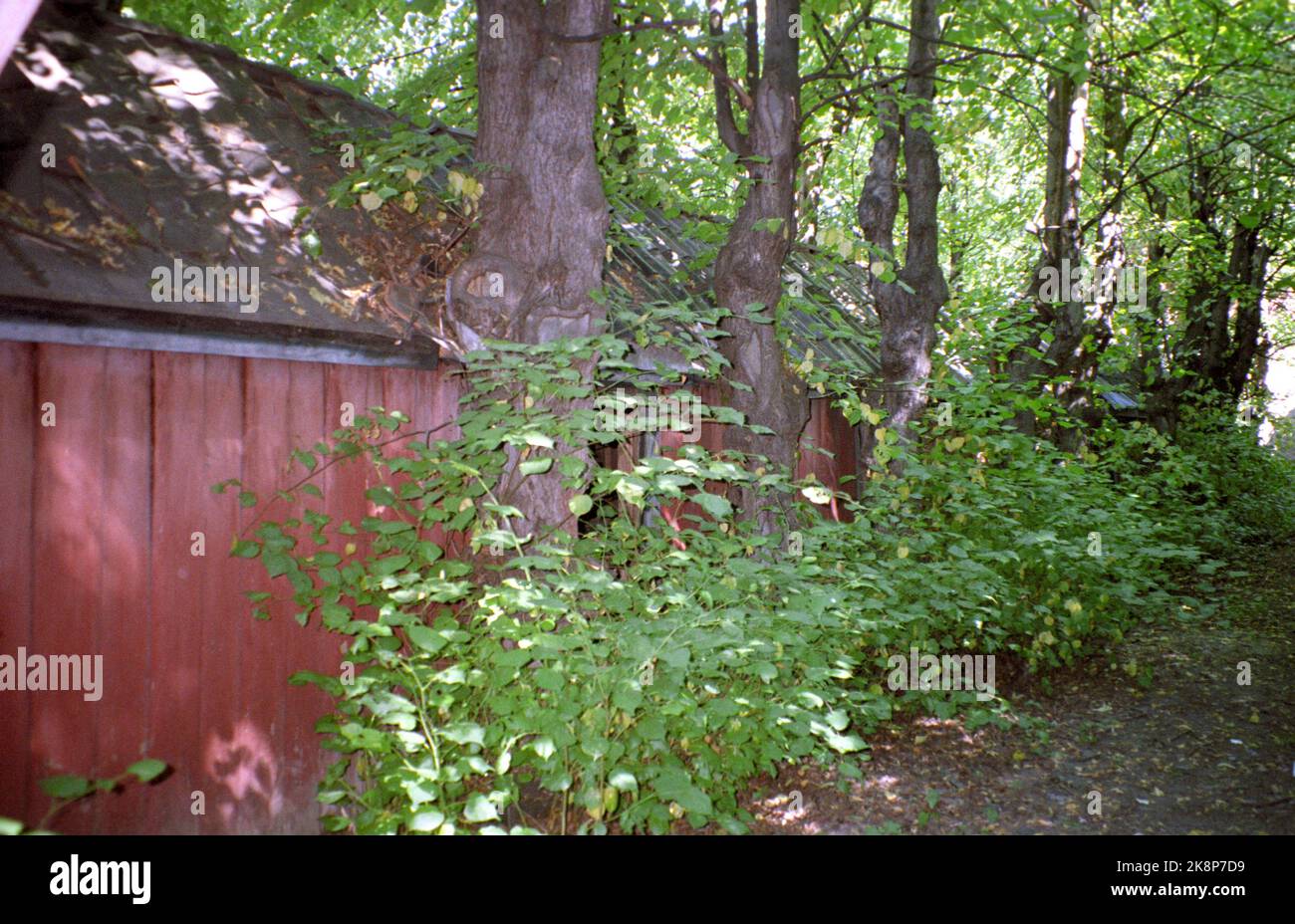 Oslo June 1988 Langgaardsløkken is an old loop garden at Briskeby in ...