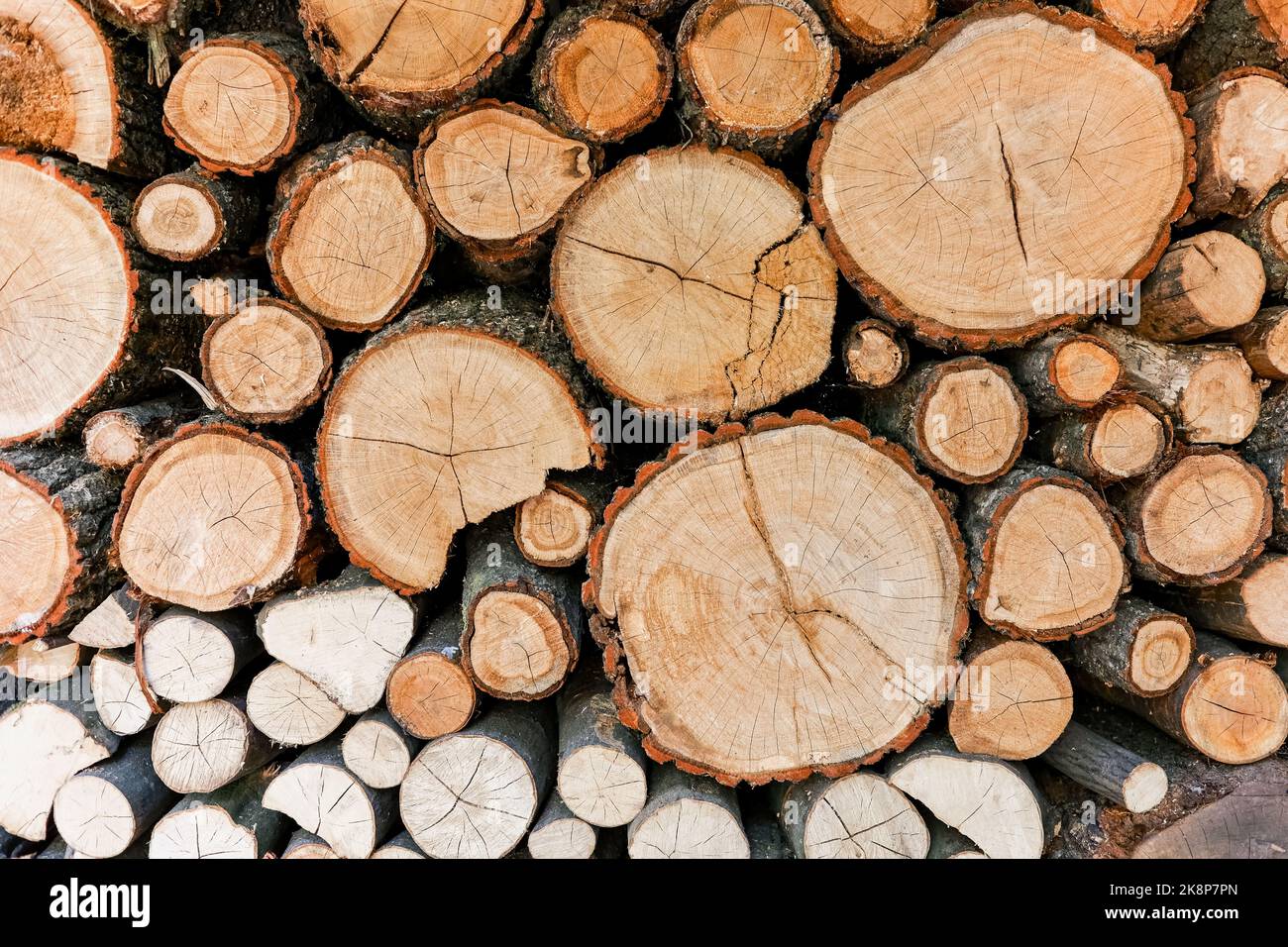 Cross section of tree trunks, timber background. Log trunks pile, the ...