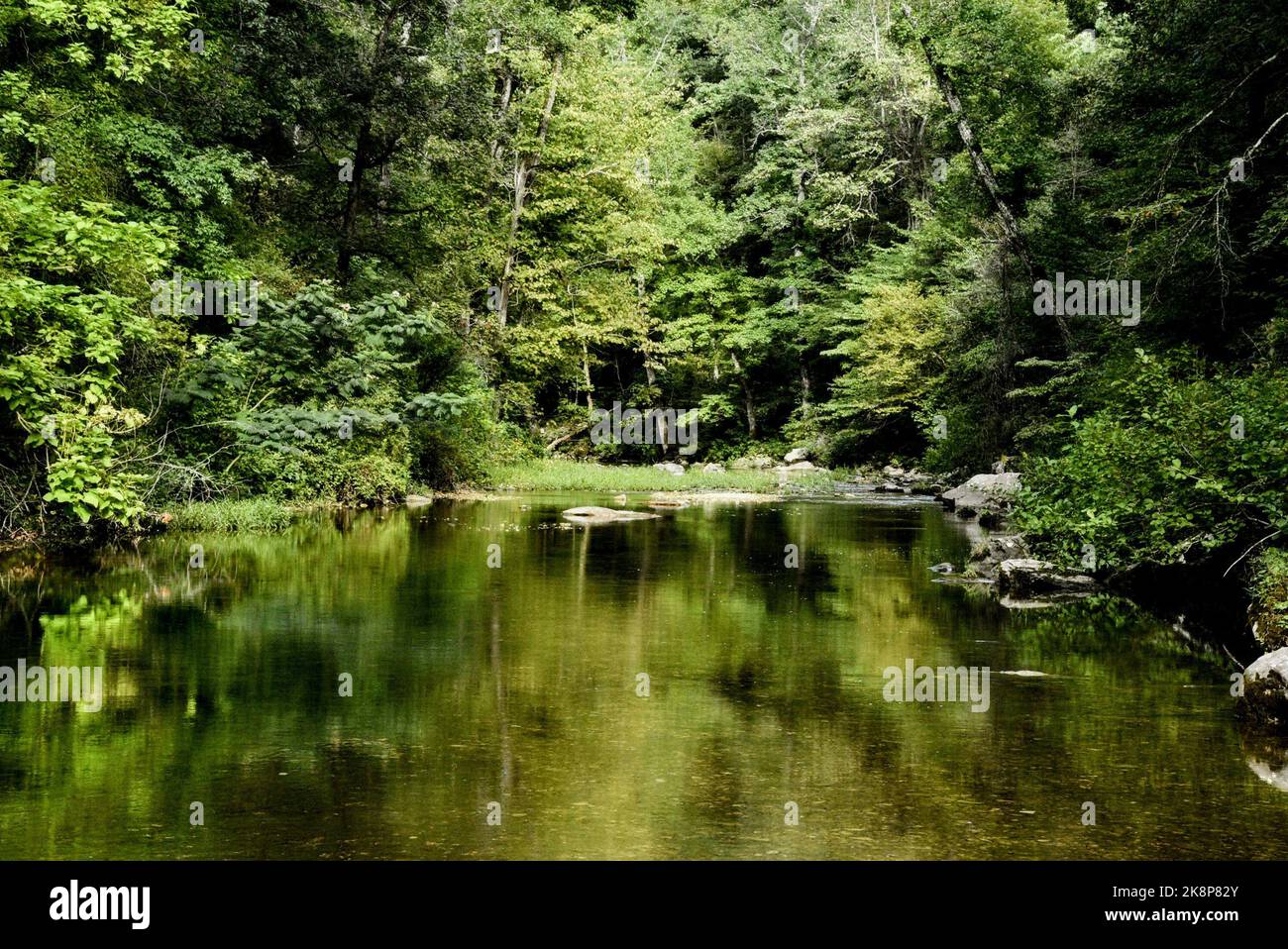 Plant lined river hi-res stock photography and images - Alamy