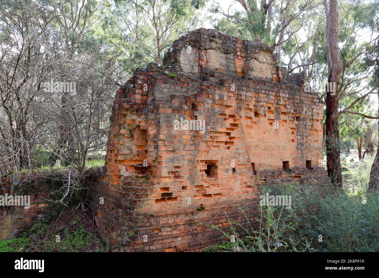 An exterior of an old building ruins in a forest Stock Photo - Alamy