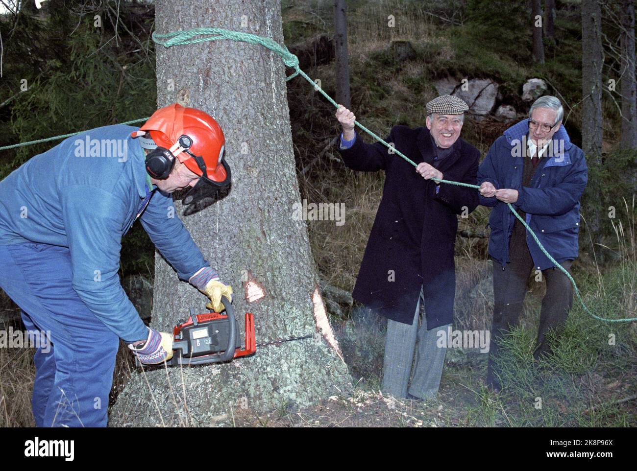 Albert nordengen hi-res stock photography and images - Alamy