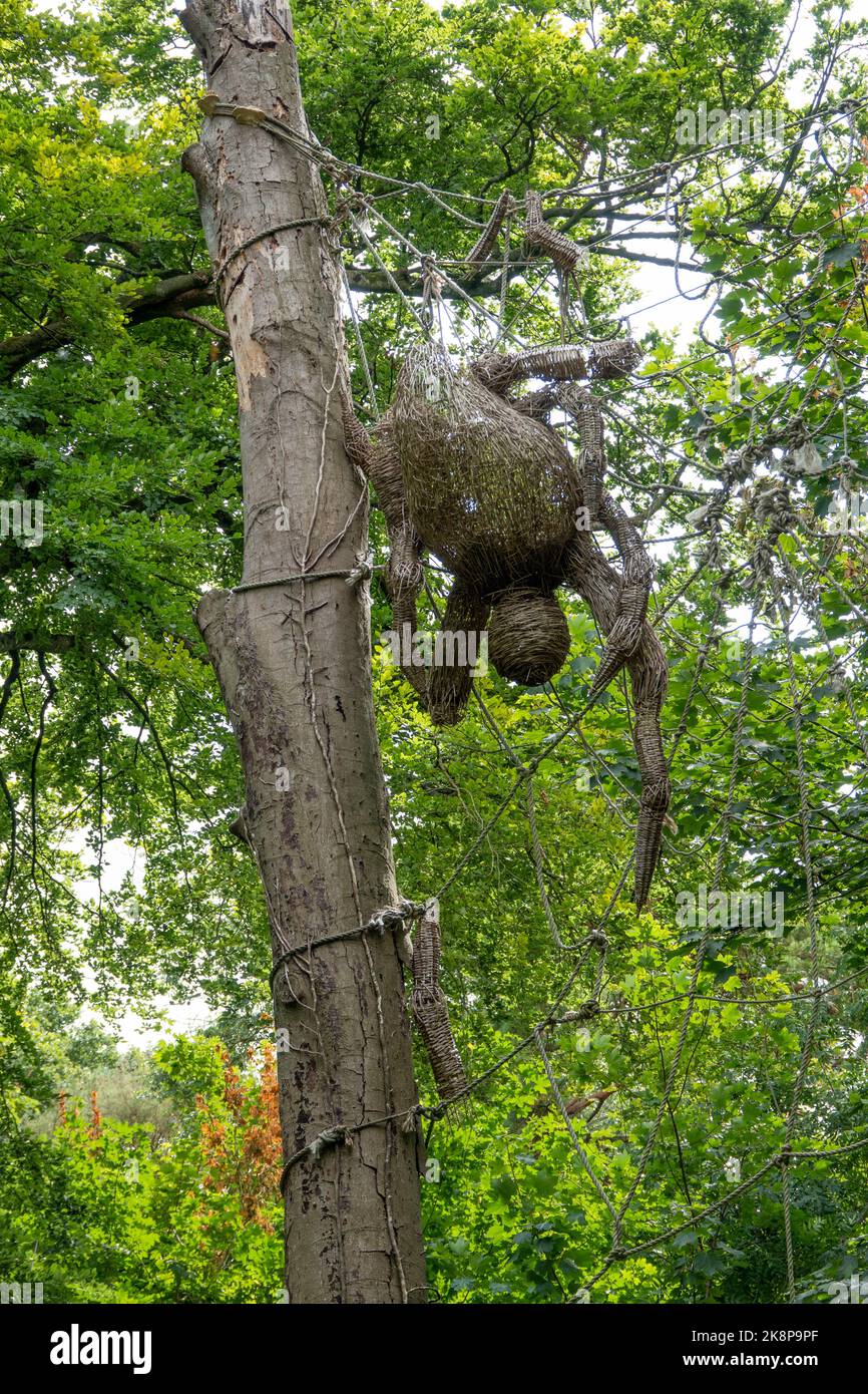 Tree spiders hi-res stock photography and images - Alamy