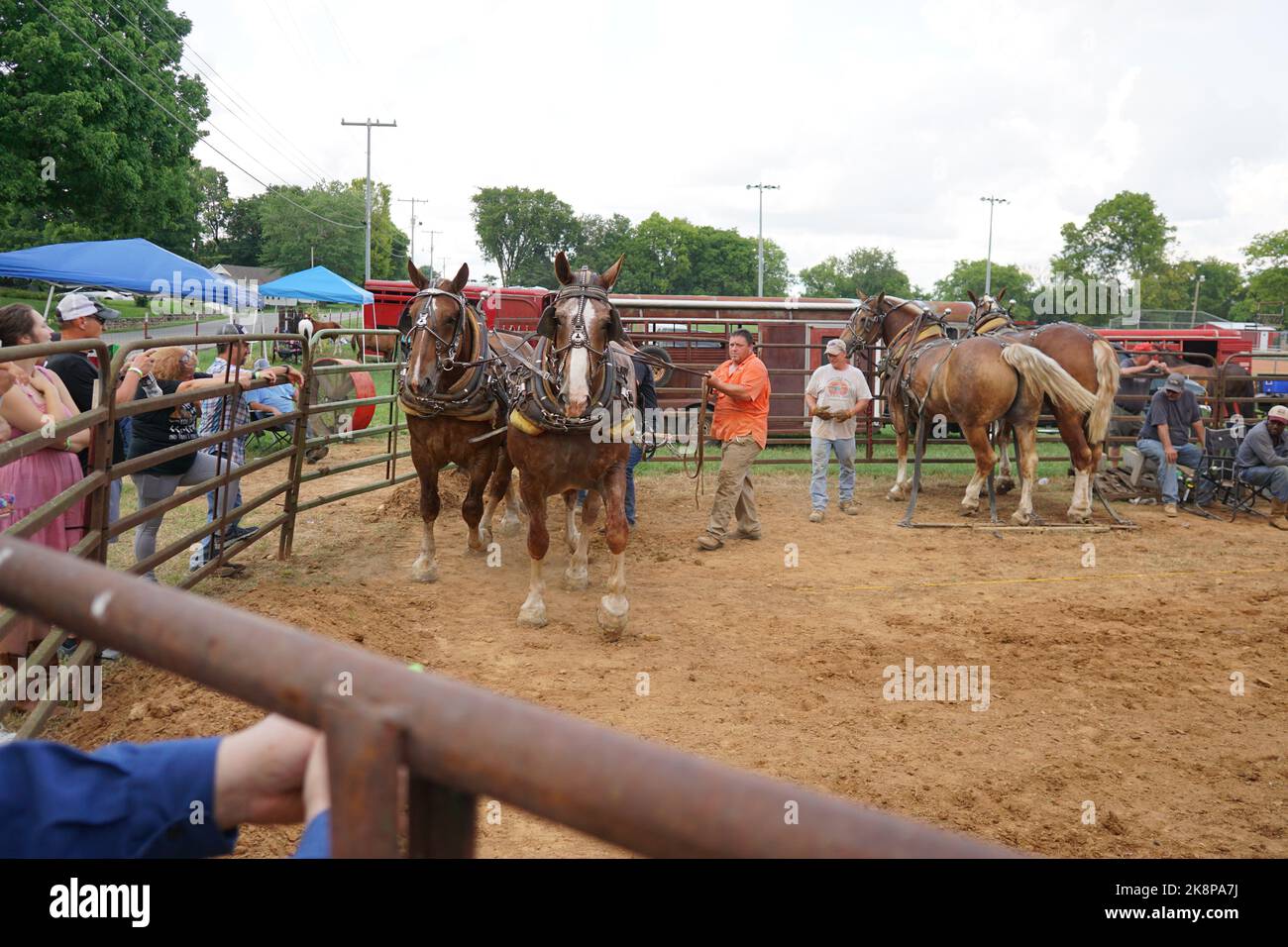 A horse pull at Adams, Tennessee during the 51st annual Tennessee ...