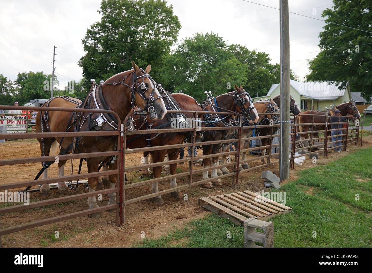 Threshermen hi-res stock photography and images - Alamy