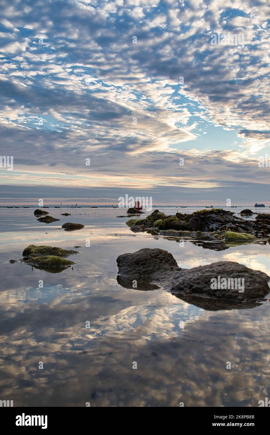 A vertical shot of mossy rocks and a channel marker in a reflective sea ...