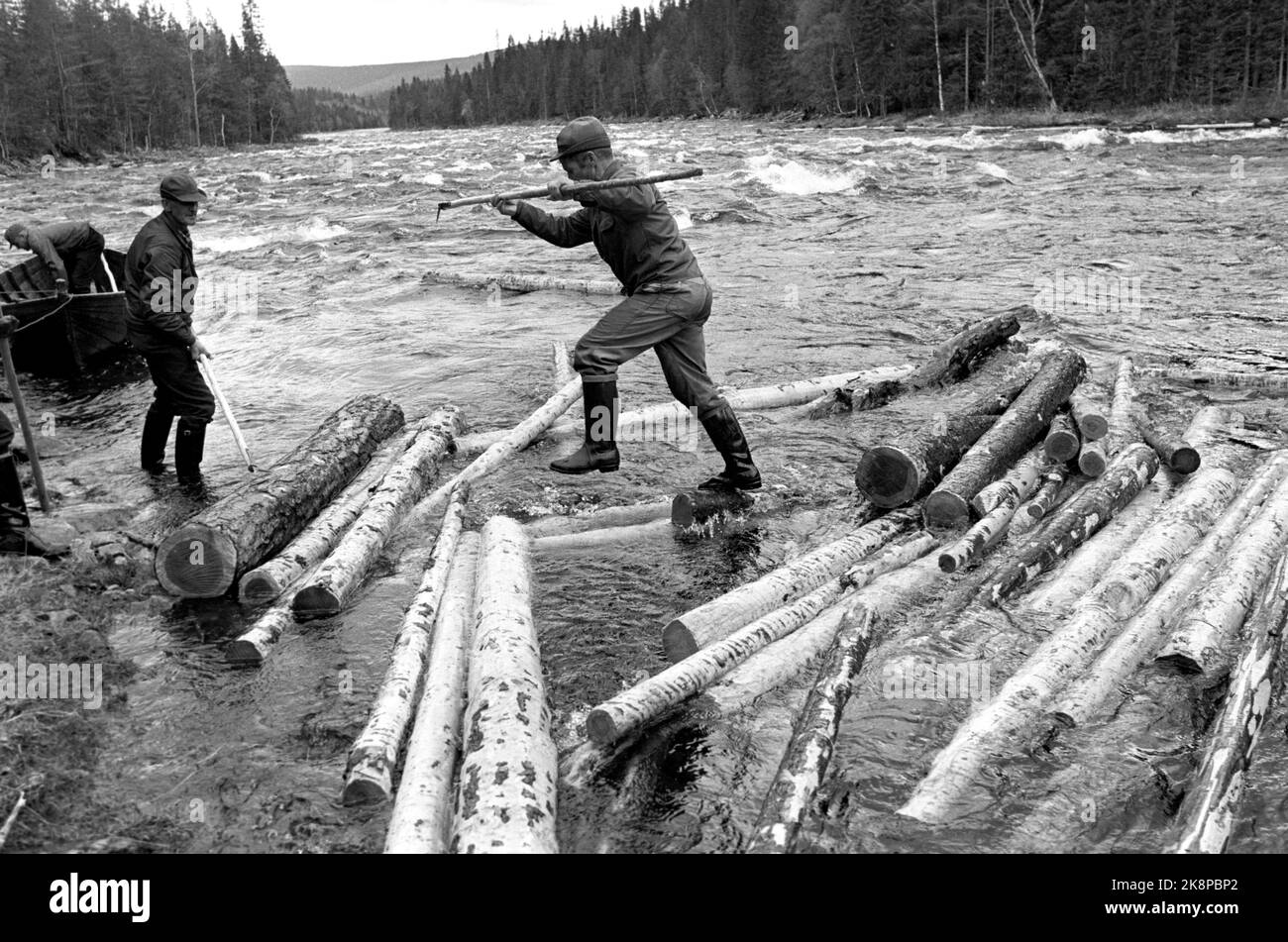 197206 hi-res stock photography and images - Alamy