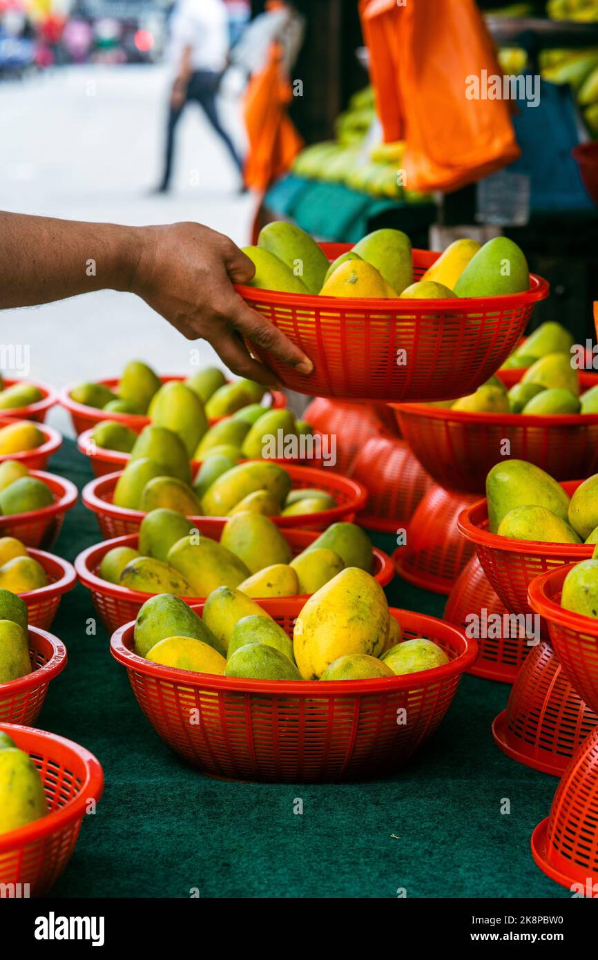 Export mangoes hi-res stock photography and images - Alamy