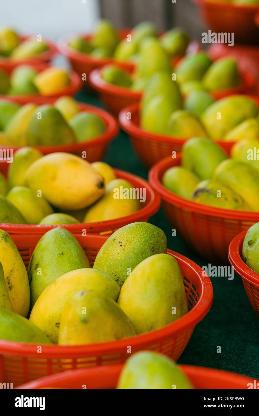 Fresh mangoes in red baskets at the stall Stock Photo - Alamy
