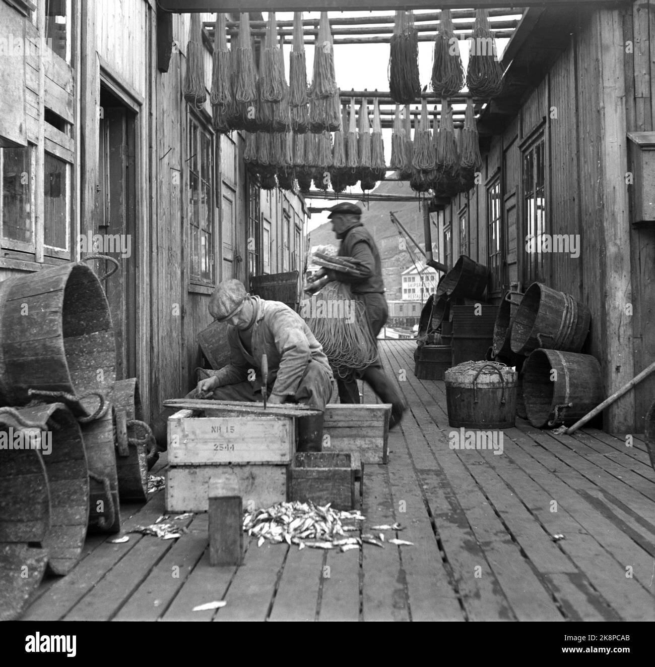 Honningsvåg 19521115. Recovery work by Fiskevær Honningsvåg on Magerøya ...